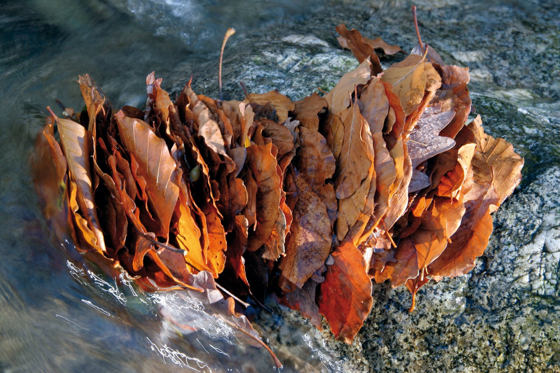 Contact - Coridan, éco-interprètes associés - Interprétation du patrimoine