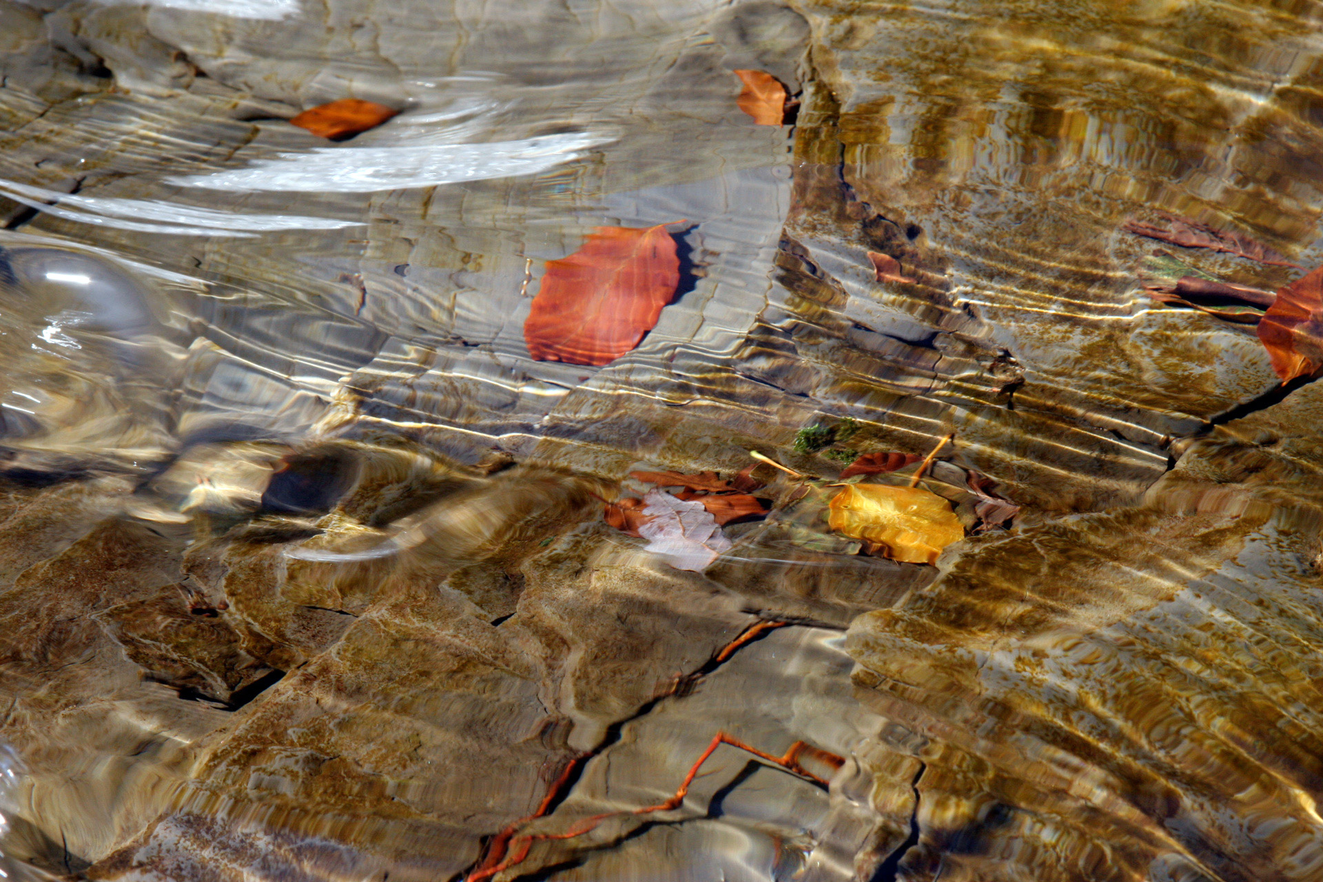 Conditions générales de vente - Coridan, éco-interprètes associés ...