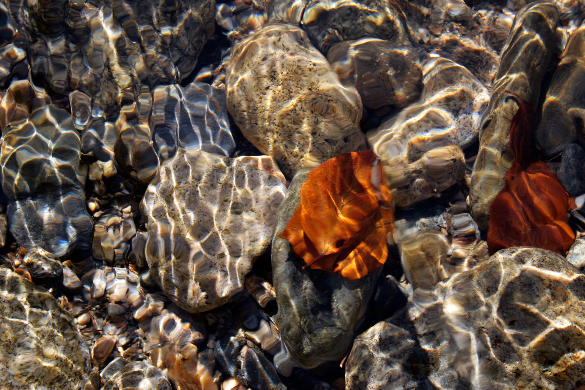 Photos - Coridan, éco-interprètes associés - Interprétation du patrimoine