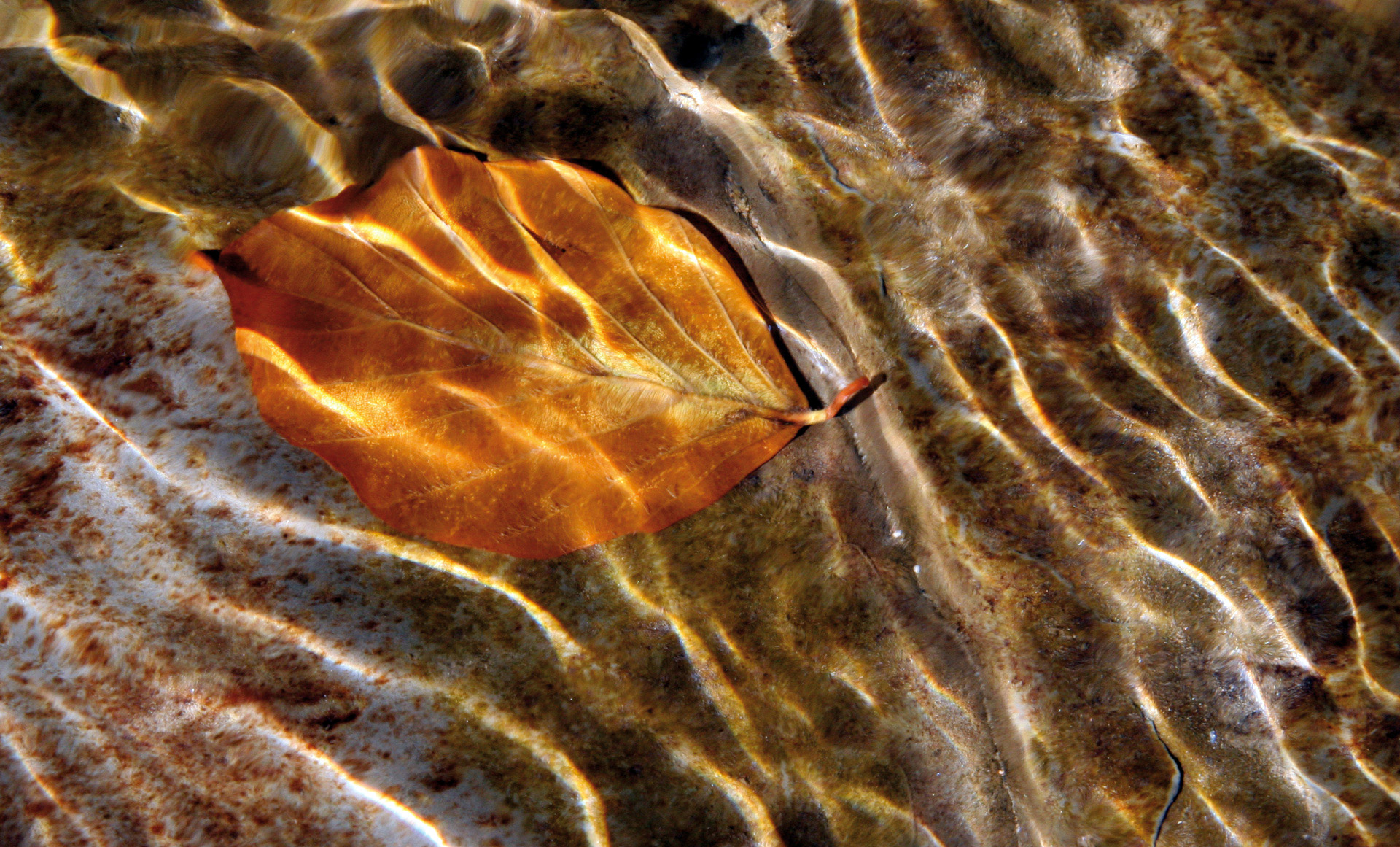 Édition - Coridan, éco-interprètes associés - Interprétation du patrimoine